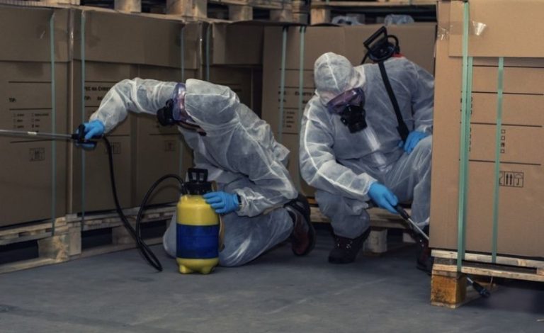 How is Fumigation Done? | AS Denizcilik